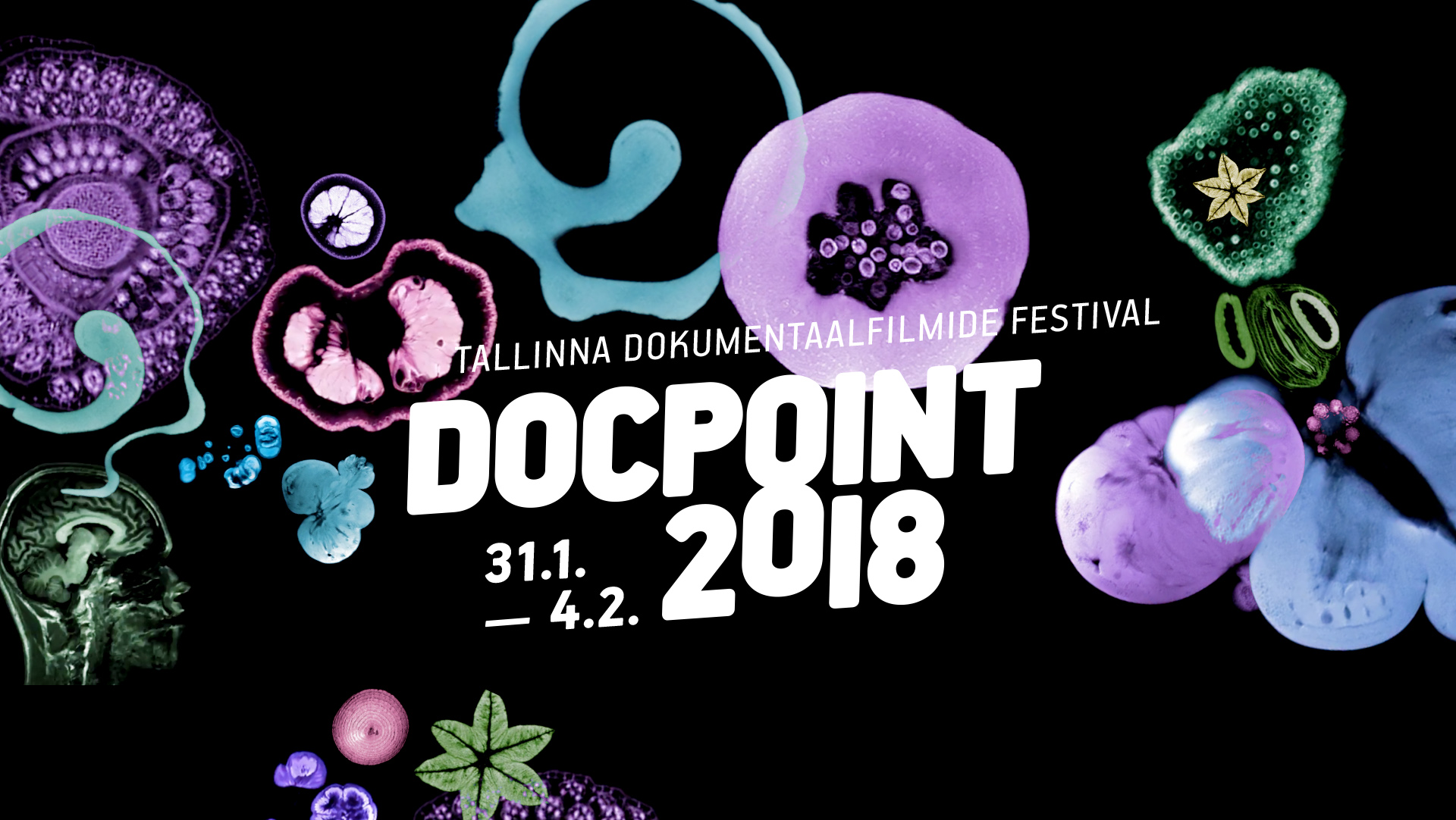 Docpoint Tallinn 2023 - Docpoint Tallinn 2023